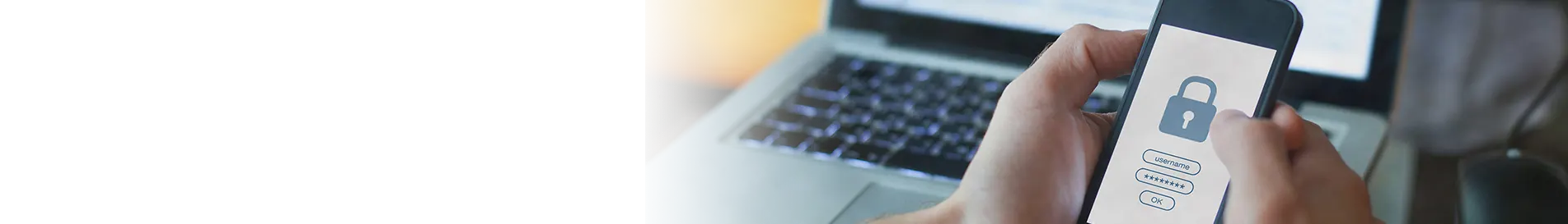 Web Application Security Services Melbourne Australia