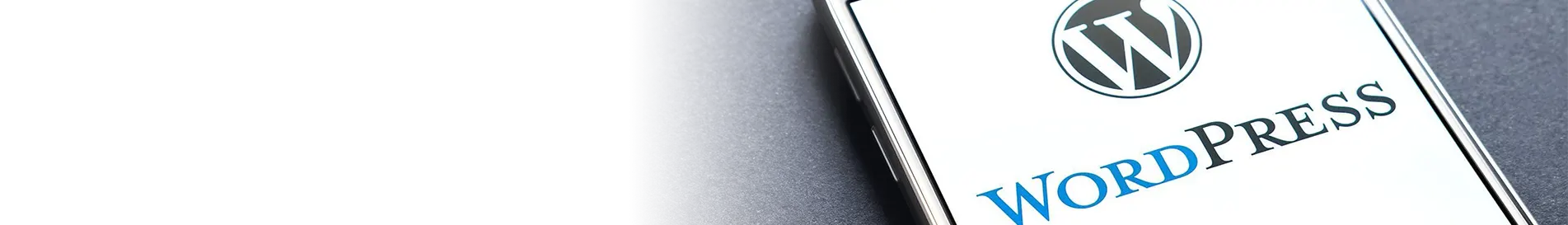 WordPress Website Development Agency Melbourne, Australia